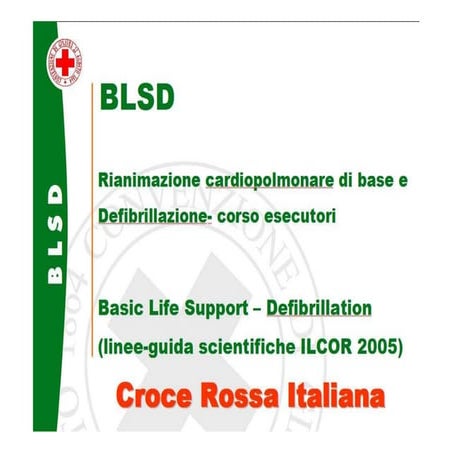 Blsd | PDF