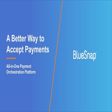 BlueSnap Company Overview | PPT