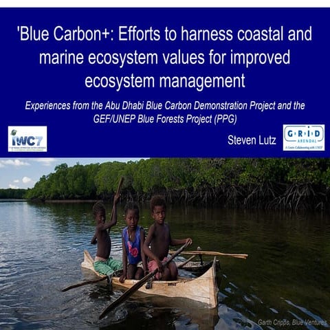 Blue Carbon+: Efforts to harness coastal and marine ecosystem values ...