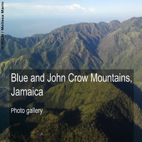 Blue and John Crow Mountains, Jamaica | PDF