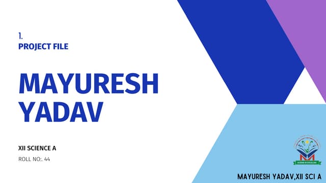 Python and MySQL Linking Class 12th Project File 23-24 | PDF
