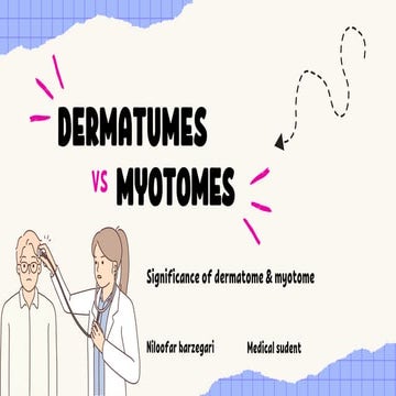Dermatomes & Myotomes By Firdous Hussain | PPTX