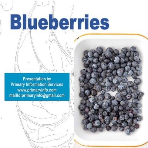 Blueberries | PPT