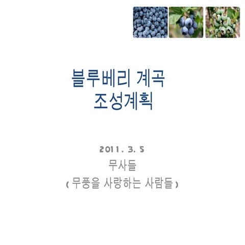 Blueberry Valley Project | PPT