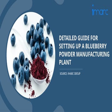 Beef Powder Manufacturing Project Overview 2025.pptx