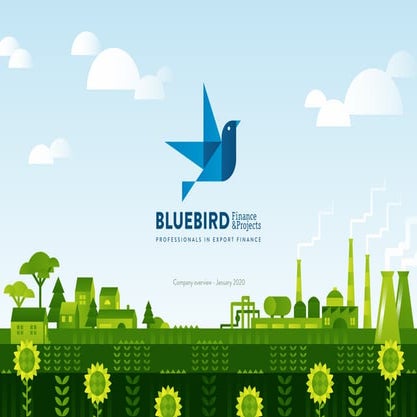 Bluebird Finance and Projects Ltd. company overview_2020 | PPT