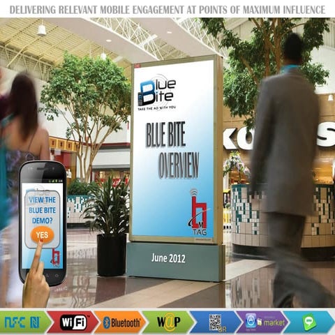 Blue Bite Media Kit (January 2013) | PDF | Smartphones | Consumer ...