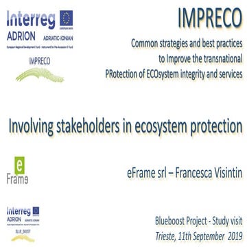 Blue Boost Project | PPT