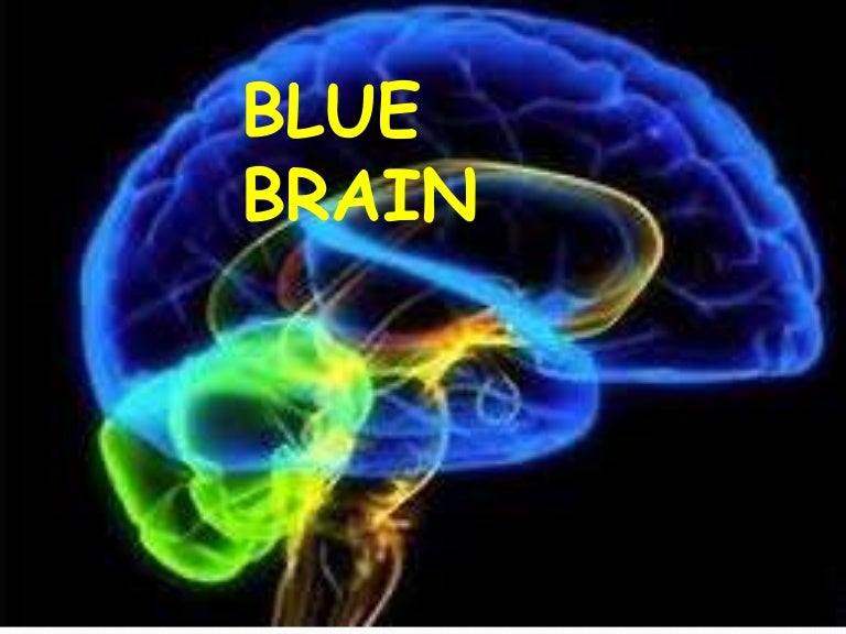 Blue brain project