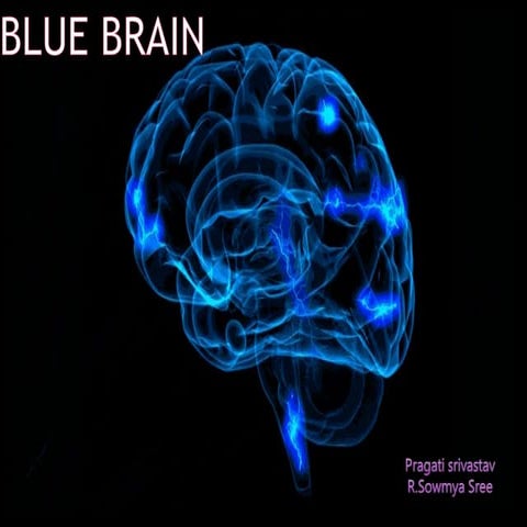 Bluebrain | PPTX
