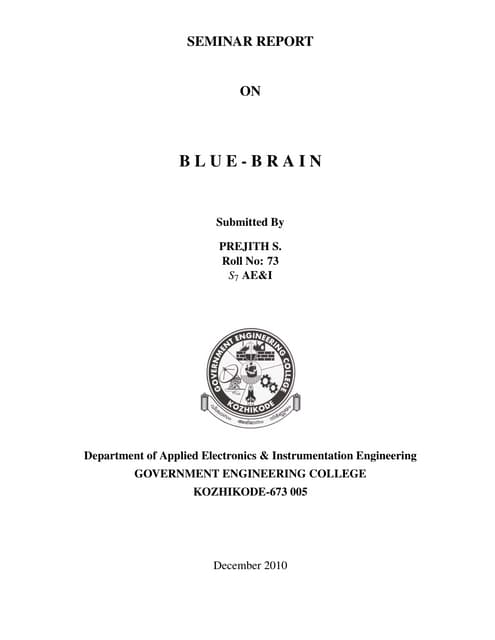 Blue Brain Seminar Report | PDF