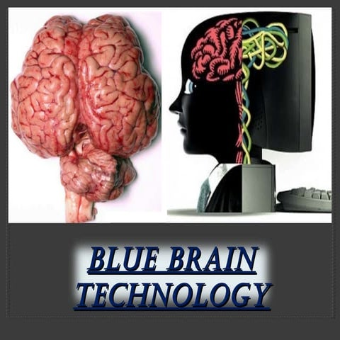 Blue brain technology | PPT