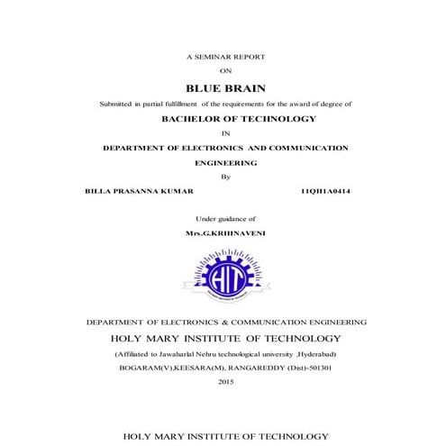 Bluebrain report | DOCX