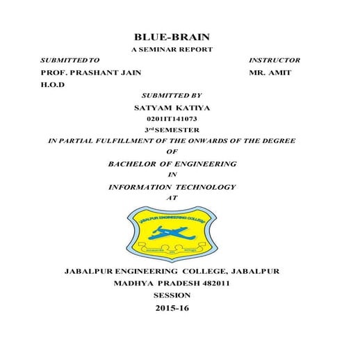 Bluebrain report | DOCX