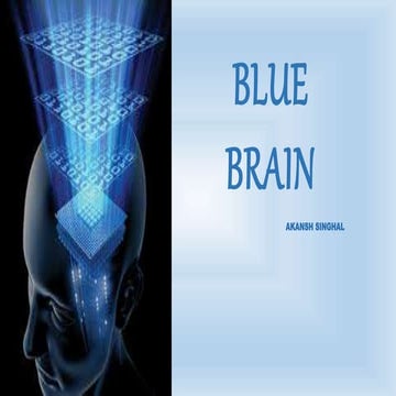 Blue Brain | PPT