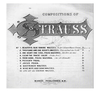 The Blue Danube Waltz by Johann Strauss | PDF