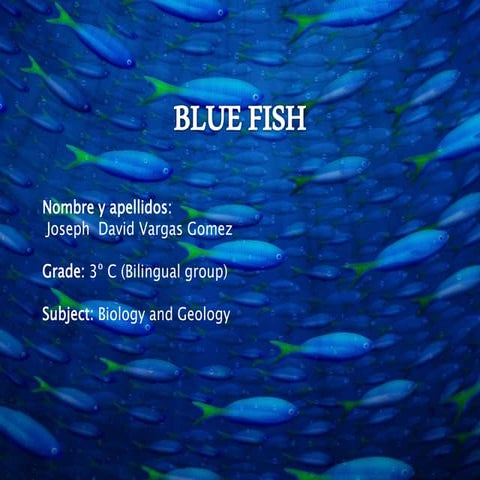 Blue fish | PPTX