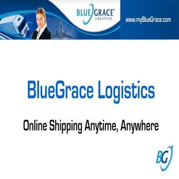 What is Blue Grace Logistics?