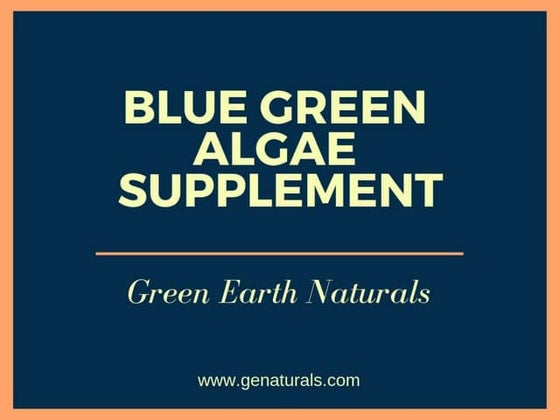 Super blue green algae | PPT