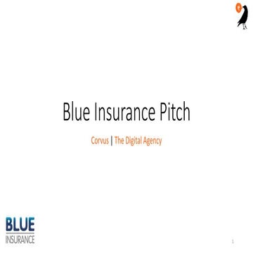 Blue Insurance Digital Advertising Pitch | PDF