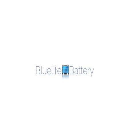 Bluelife Battery Regeneration Info | PPT
