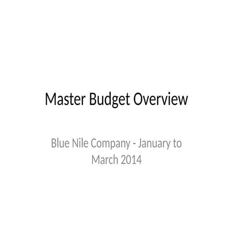 Blue_Nile_Master_Budgggggggggggggget.pptx