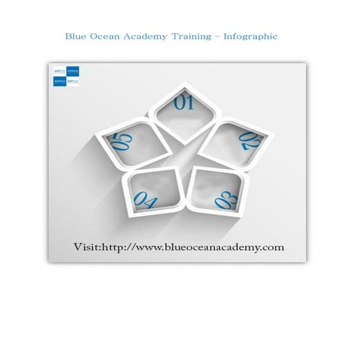 Blue Ocean Academy Training - Infographic | PDF