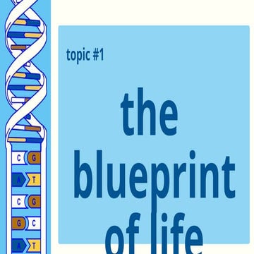 BLUEPRINT OF LIFE sample ppt for gr. 10.pptx