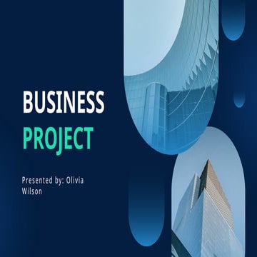 Blue Professional Business Project Presentation .pptx