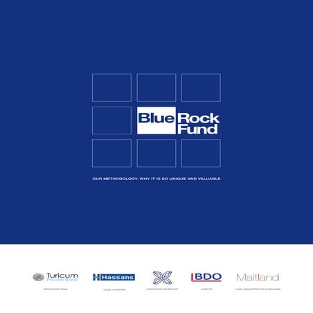 BlueRock Fund - information for investors | PDF