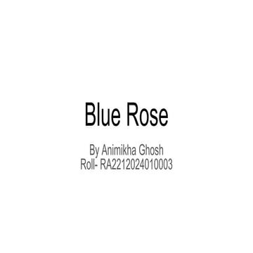 Blue Rose.pptx