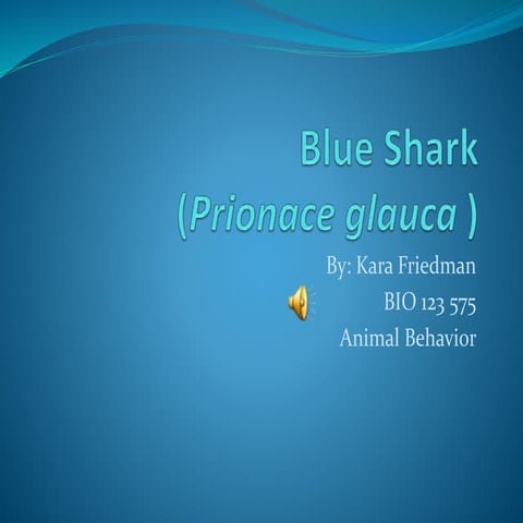 Blue shark presentation | PPTX