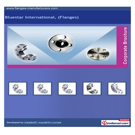 Bluestar International, (Flanges), Mumbai, Threaded Flanges | PDF