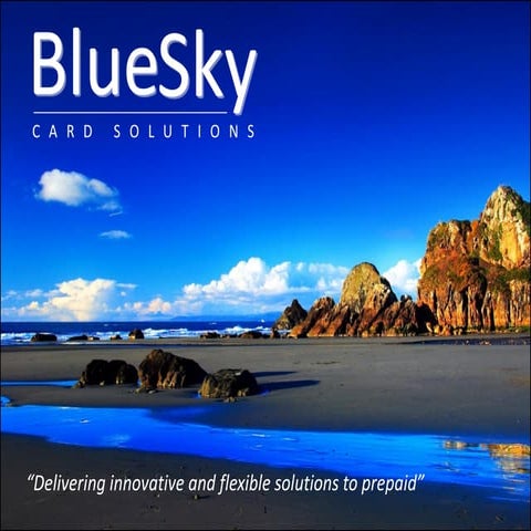 Blue Sky Card Solutions Presentation | PDF
