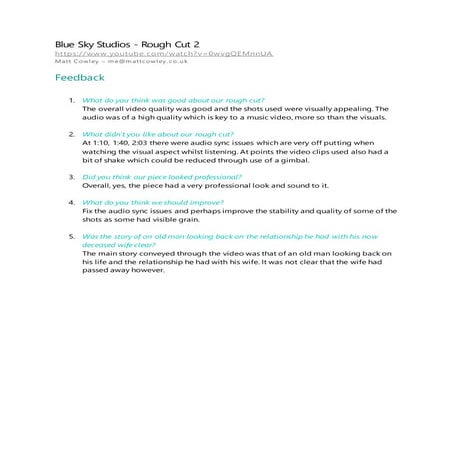 Blue sky studios rough cut 2 - feedback | DOCX
