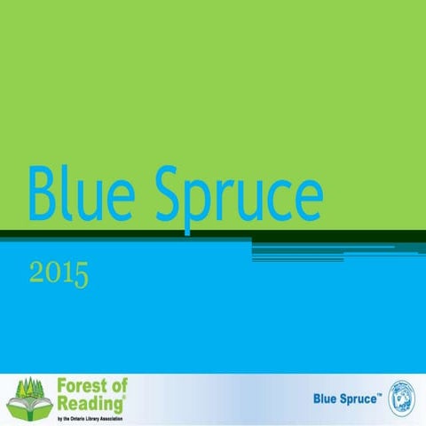 Blue spruce winner | PPT