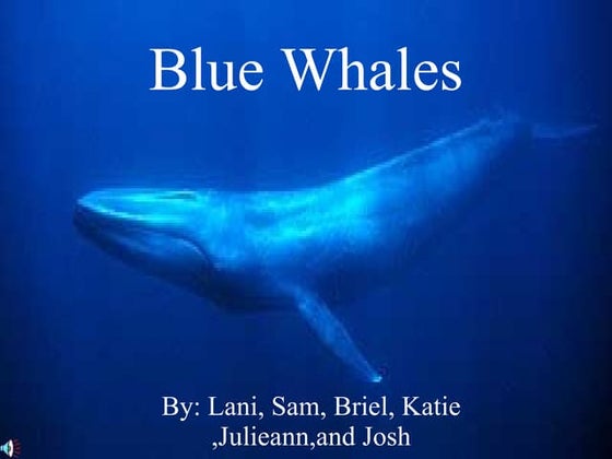 Classification of blue whale D calls and fin whale 40-Hz calls using ...