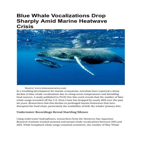 Blue Whale Vocalizations Drop Sharply Amid Marine Heatwave Crisis.pdf