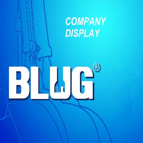 Blug Company Display | PPS