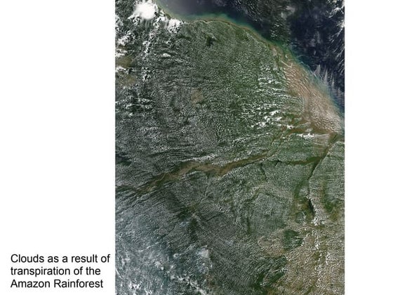BRIEF REVISION - HYDROLOGY - 03. INTERCEPTION | PPTX