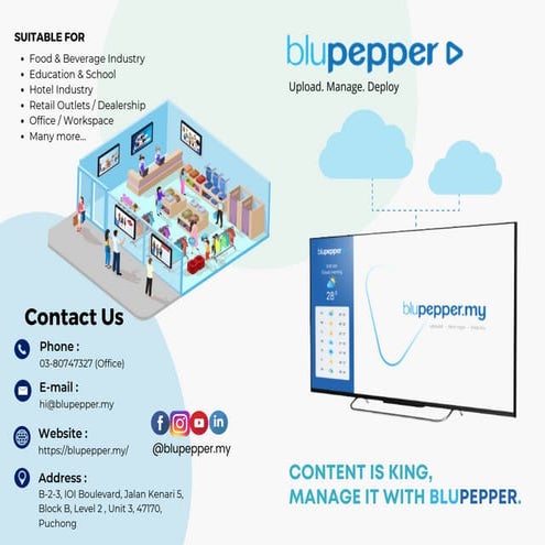 Blupepper Bi-Fold Brochure.pdf