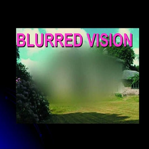 Blurred Vision | PPT