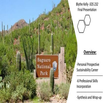 BlytheKelly_SOS232_FinalPresentation.pptx