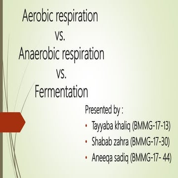 Aerobic Respiration Vs Anaerobic Respiration Vs Fermentation Pptx