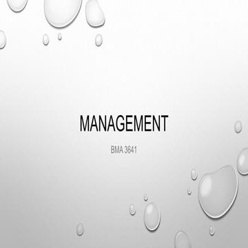 Chapter number 3 Introduction to management | PPT