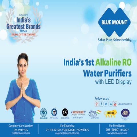 Blue Mount company profile | PDF