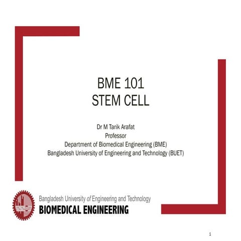 Stem cells niche and therapeutic applications | PPTX