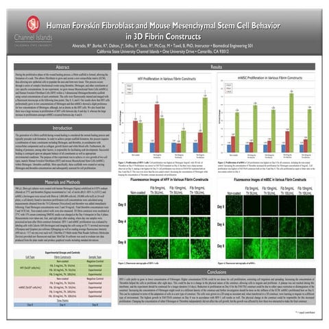 3D stem cell tissue engineering | PPT