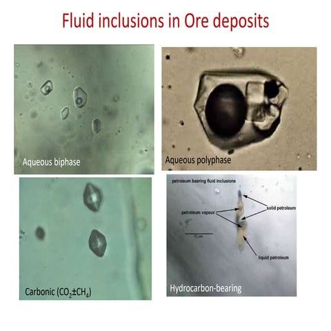 Fluid inclusion | PPTX