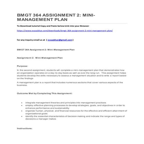 Bmgt 364 assignment 2 mini management plan | DOCX